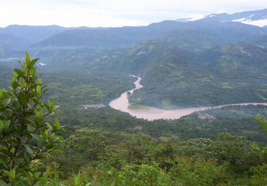 Quelle est la valeur de la forêt congolaise ? - Magazine d’actualité ...