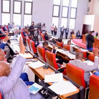 Le potentiel électrique de la RDC - Magazine d’actualité économique en ...