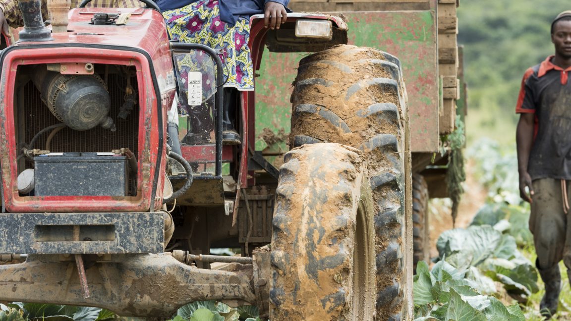 Le Rwanda devance la RDC comme premier exportateur mondial de coltan ...